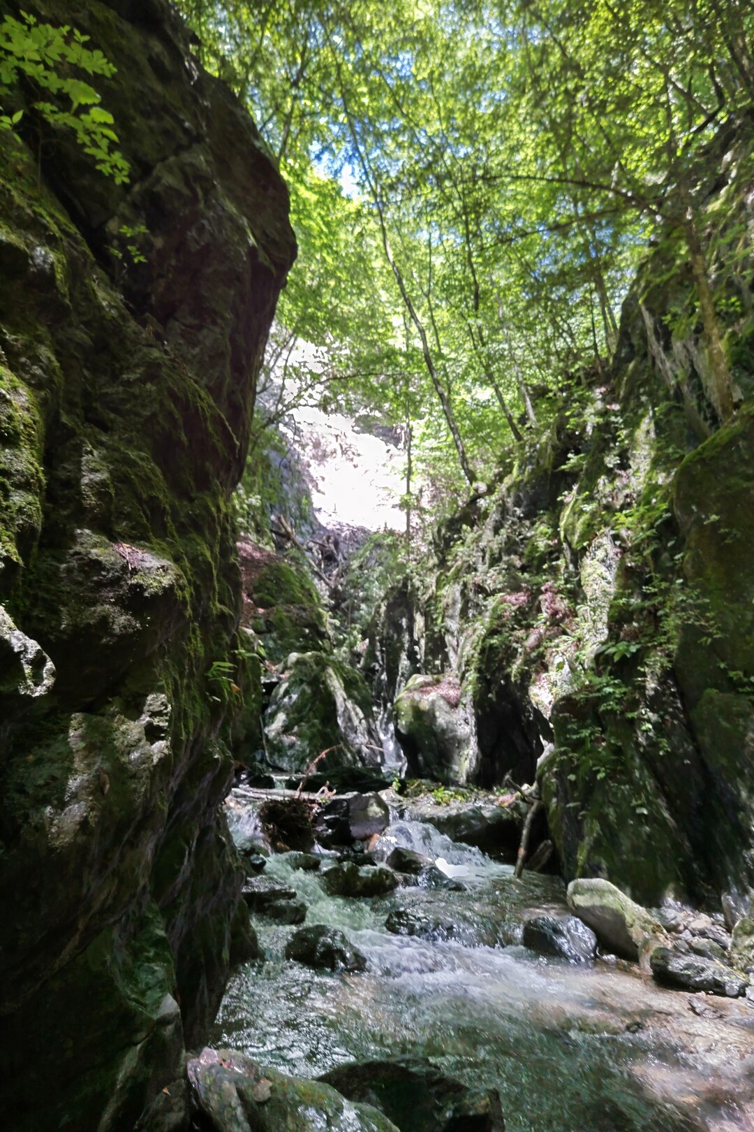 miyukiさんの投稿したフィールドメモ | YAMAP / ヤマップ