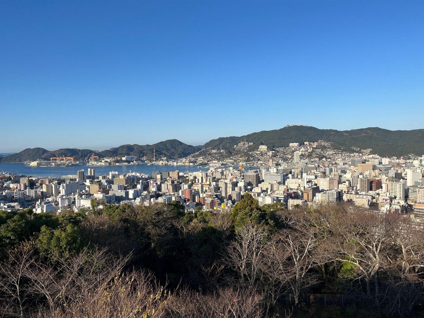 ぜったいに😤〜風頭山〜-2022-12-10 / raoさんの金比羅山・烽火山・英彦山の活動データ | YAMAP / ヤマップ