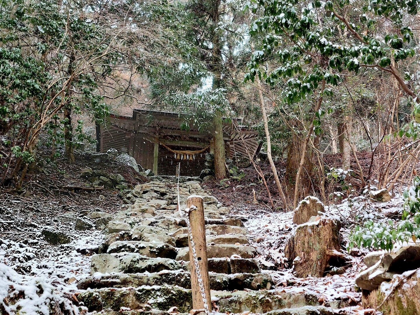 登り初めはGREY Peak戸山 / ka-ruさんの大将陣山の活動データ | YAMAP / ヤマップ