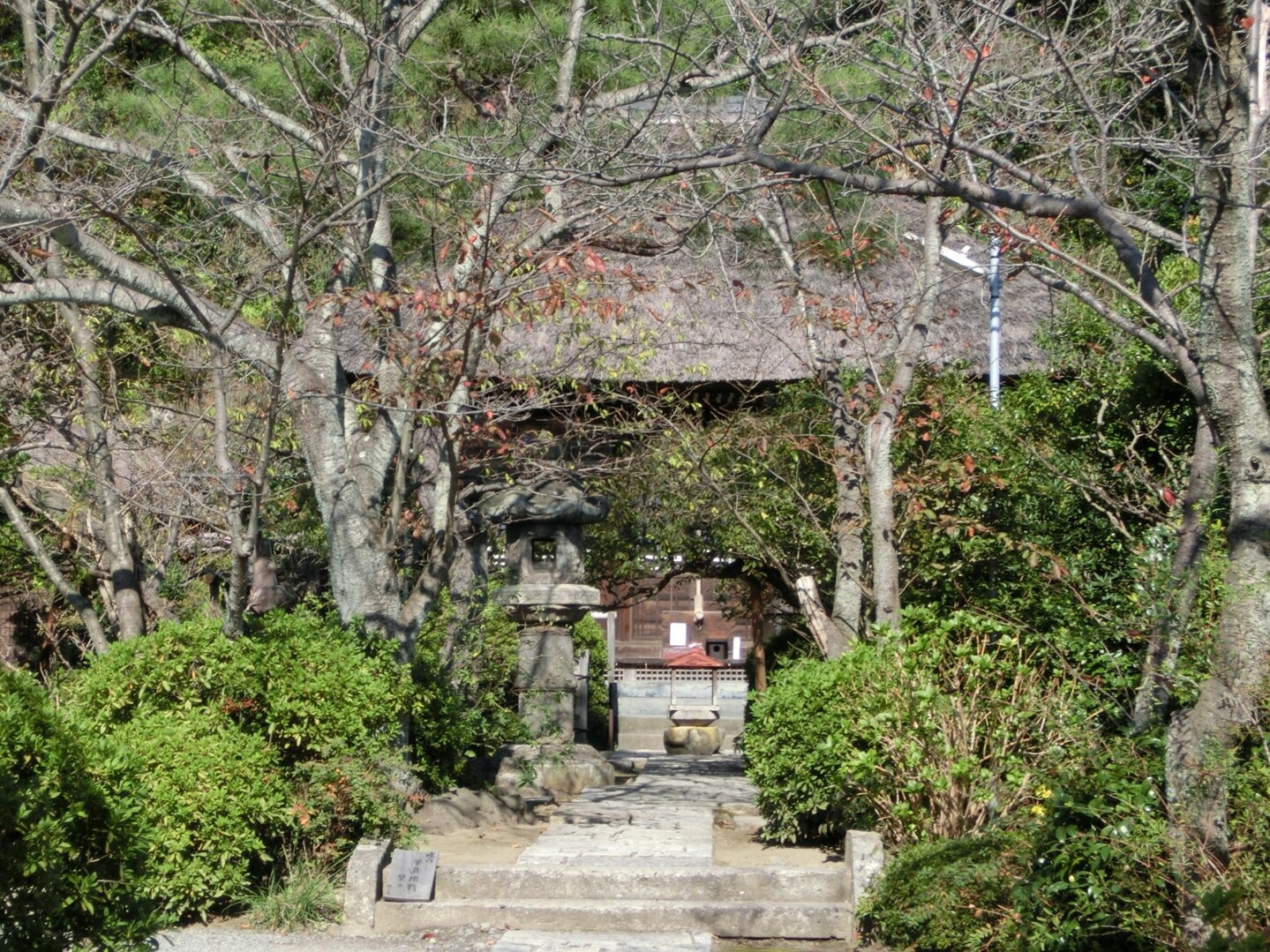 鎌倉33②【8番・明王院】 / enoさんのウォーキングの活動データ | YAMAP / ヤマップ