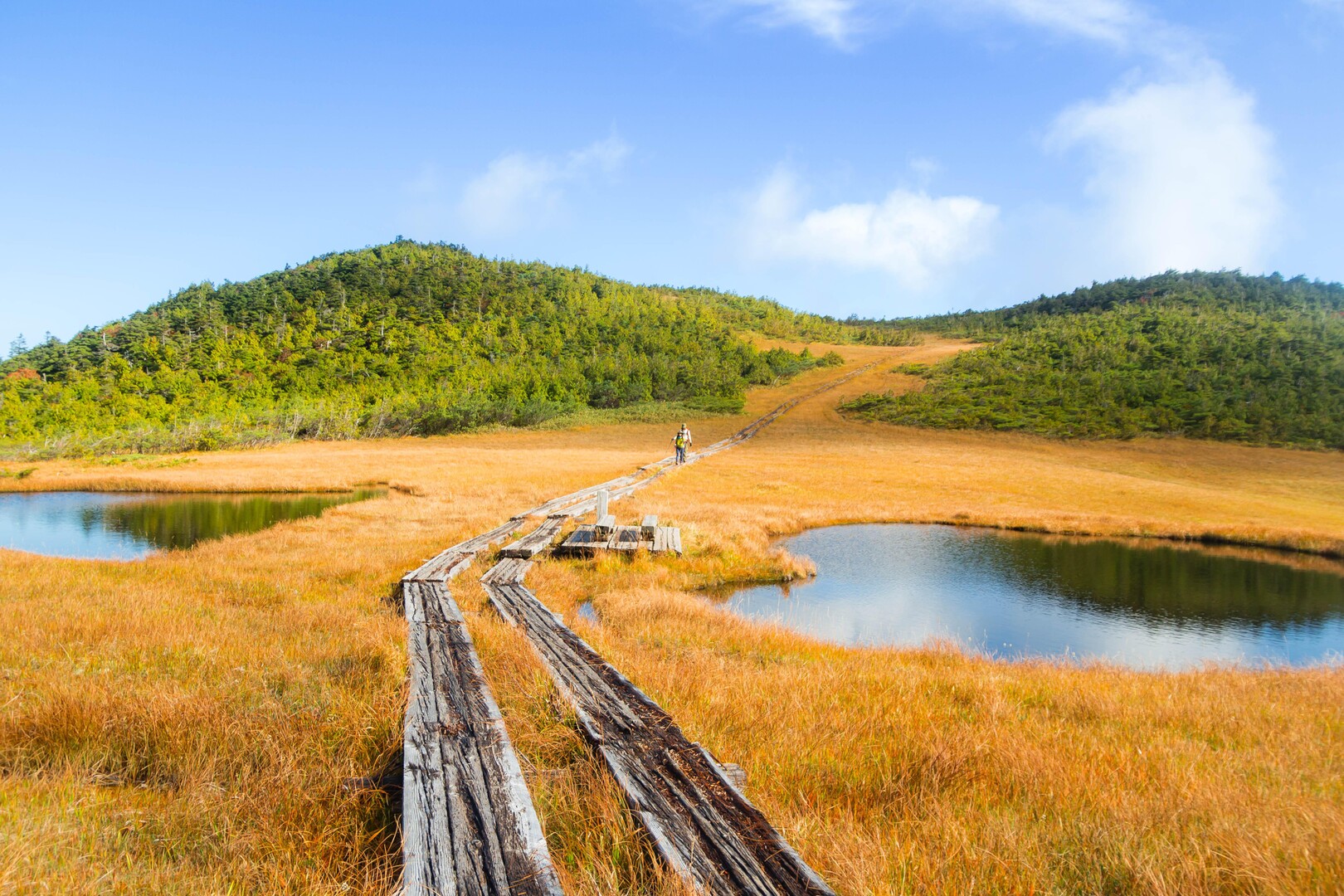 念願の会津駒ヶ岳〜燧ヶ岳を歩いてきました / Bakiさんの会津駒ヶ岳の活動日記 | YAMAP / ヤマップ