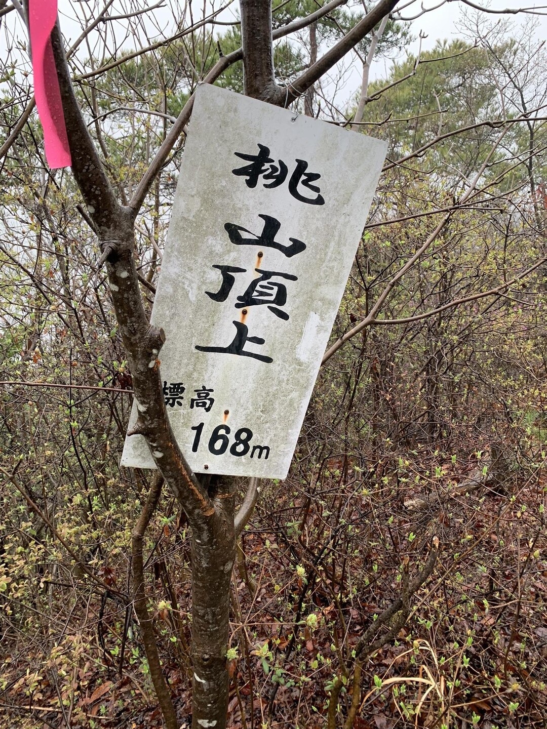 【ロゲボランティア参加】CP見守り＆回収 桃山 / まりもさんの鳩吹山の活動データ | YAMAP / ヤマップ