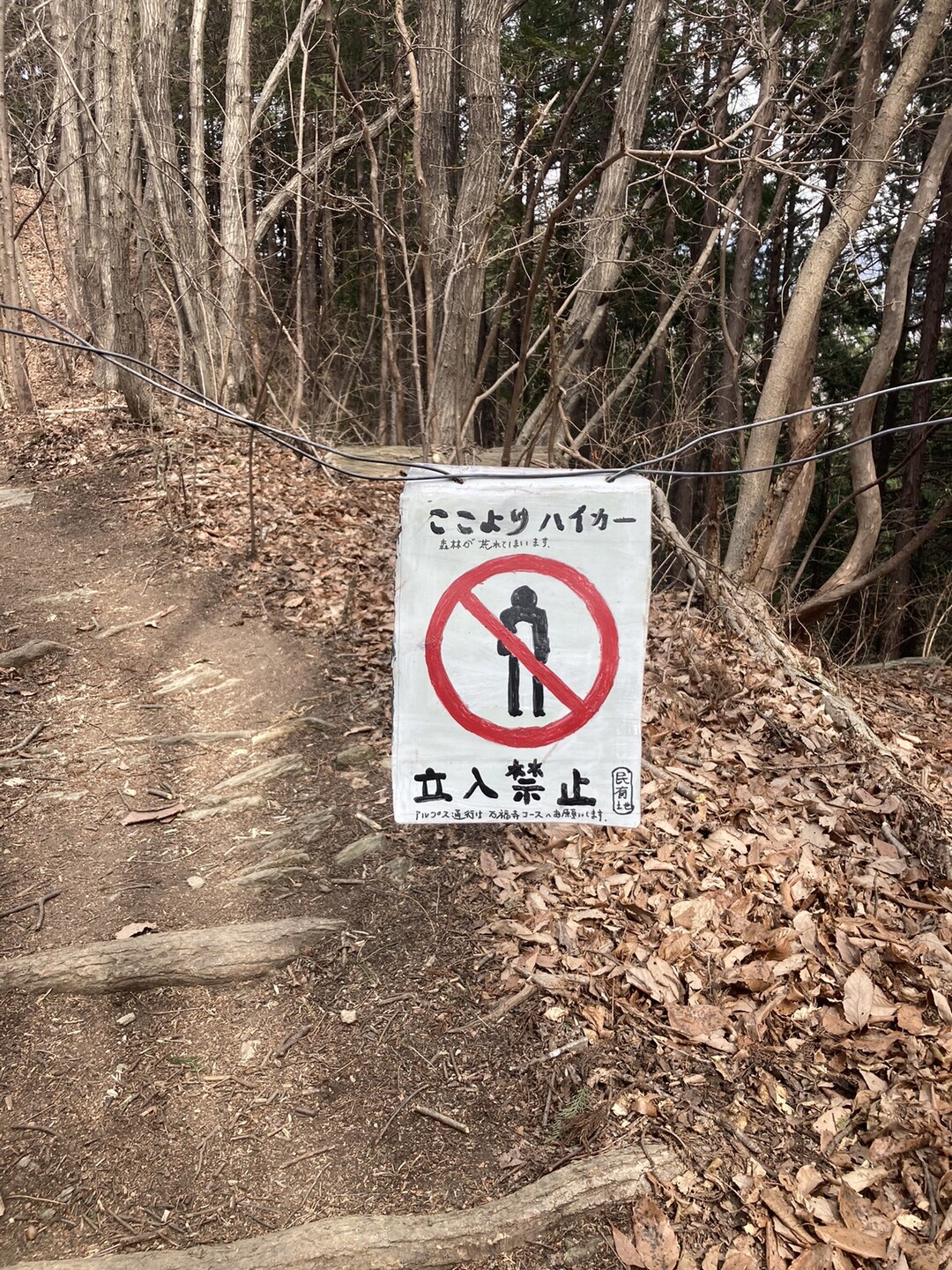 TAKIBIさんの投稿したフィールドメモ | YAMAP / ヤマップ