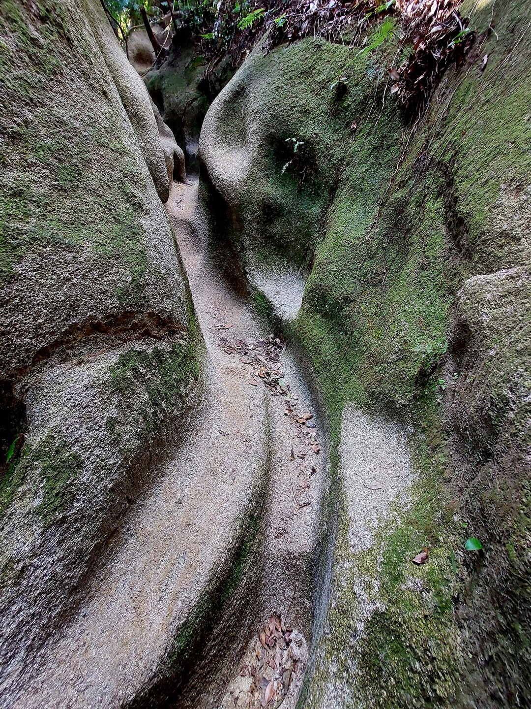 土器山(かわらけやま)⚪ / ka-ruさんの土器山（八天山）・腰巻山の活動データ | YAMAP / ヤマップ