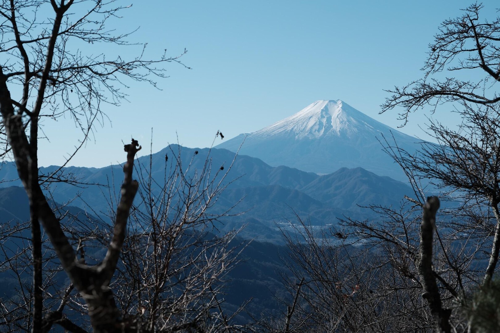 百蔵山-扇山 / kuuneruさんの百蔵山・扇山・権現山の活動データ | YAMAP / ヤマップ