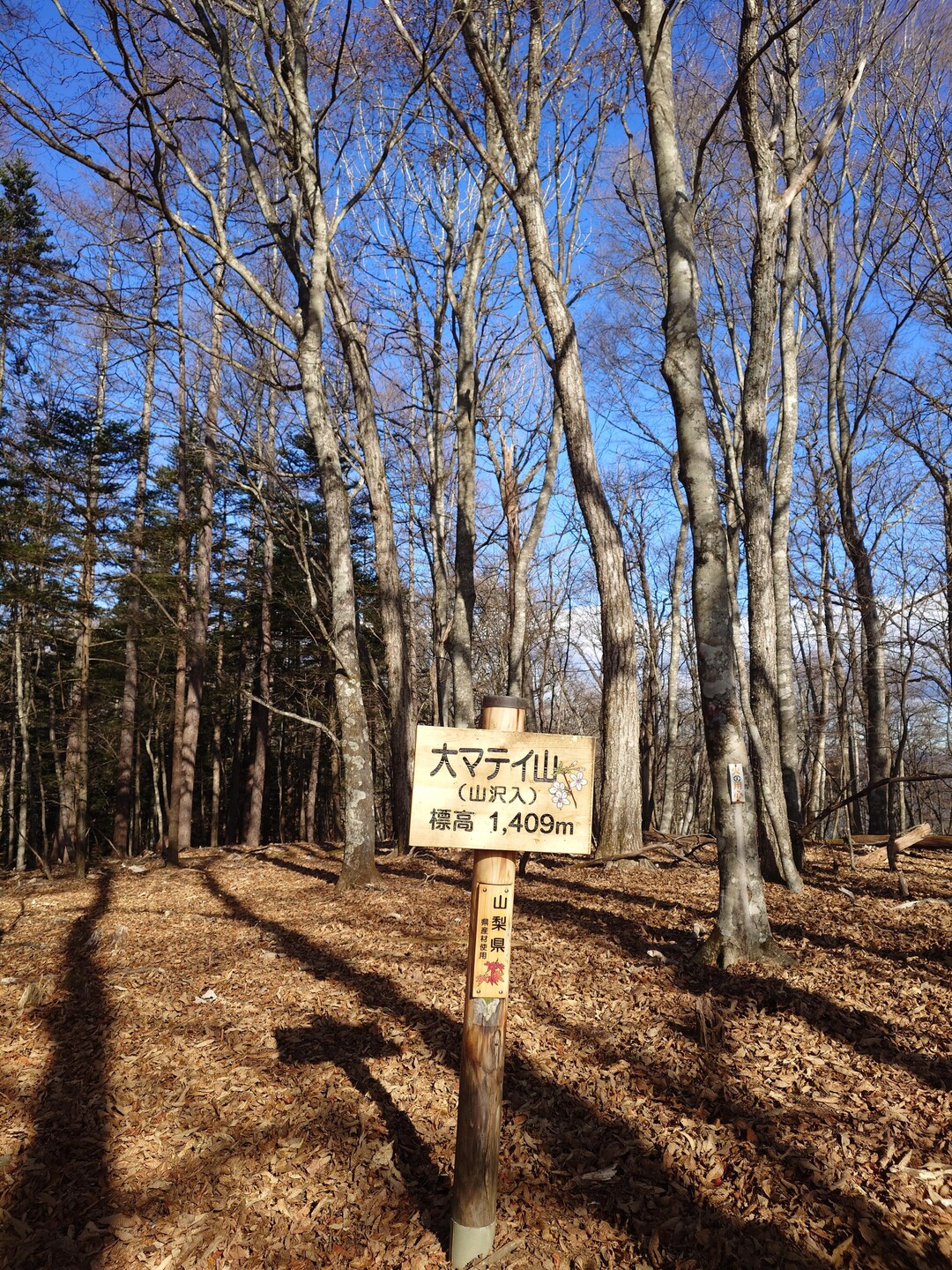 《山梨》大マテイ山・鶴寝山 周回 / nazさんの大菩薩嶺・鶏冠山・大マテイ山の活動データ | YAMAP / ヤマップ