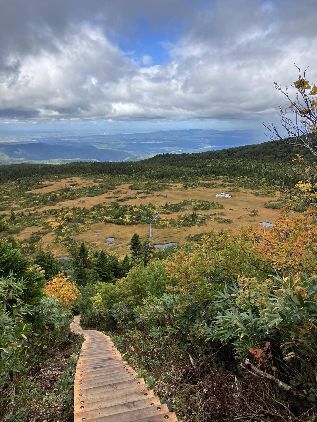 八甲田山 / NAOKIさんの八甲田山・高田大岳・雛岳の活動データ | YAMAP / ヤマップ