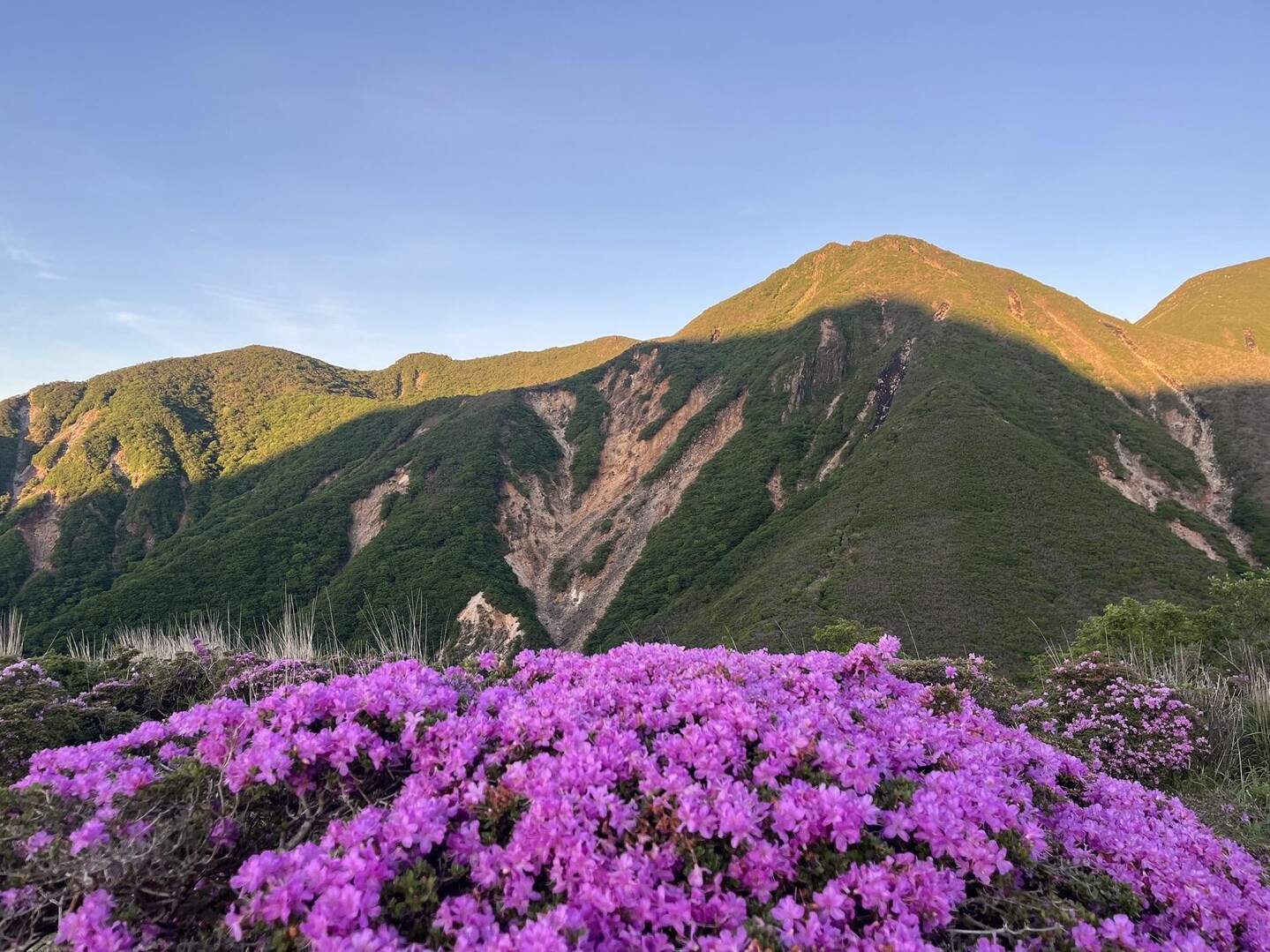 立中山 / yanapyさんの九重山（久住山）・大船山・星生山の活動データ | YAMAP / ヤマップ