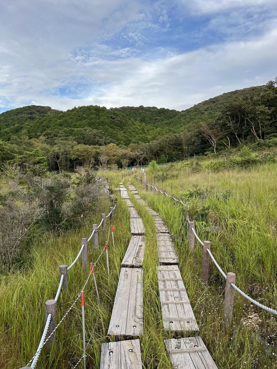 葦毛湿原 / ZO-kunさんの坊ヶ峰・石巻山・神石山・葦毛湿原の活動データ | YAMAP / ヤマップ