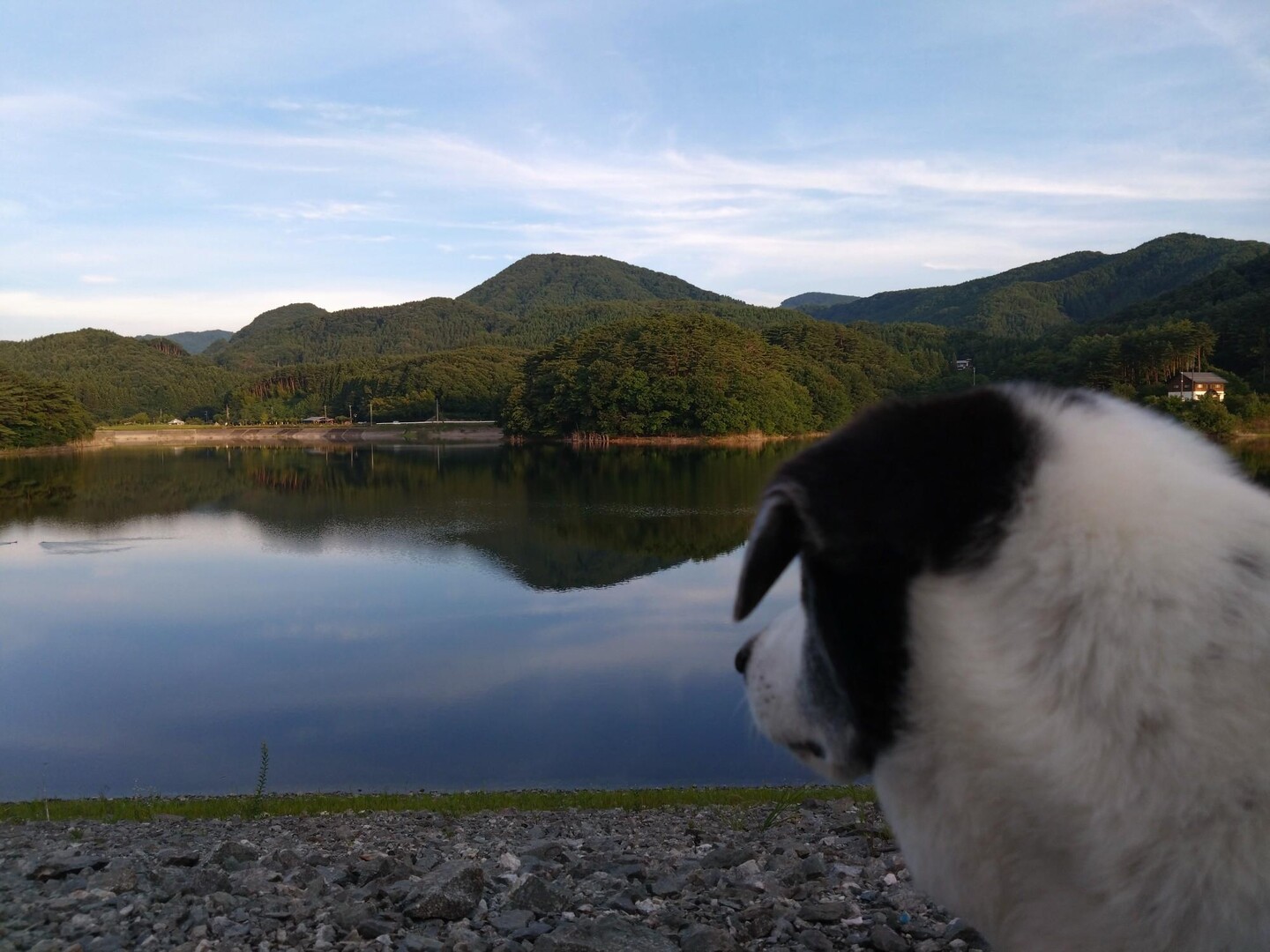 高土山 / kuru−ruさんの高土山の活動データ | YAMAP / ヤマップ