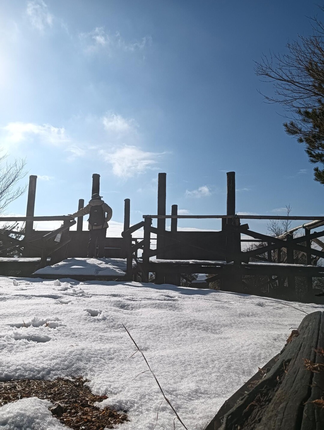 日撫山 / rioさんの鳥羽上山・横山の活動データ | YAMAP / ヤマップ