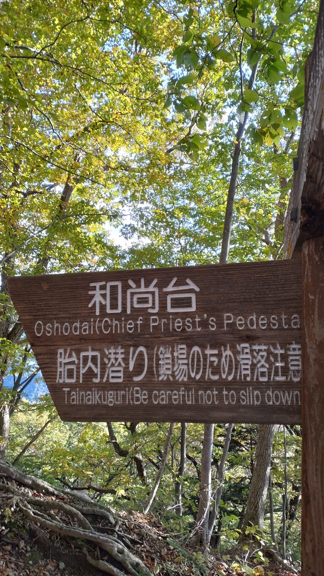 迦葉山-2021-10-26 / y.zatoさんの三峰山の活動データ | YAMAP / ヤマップ