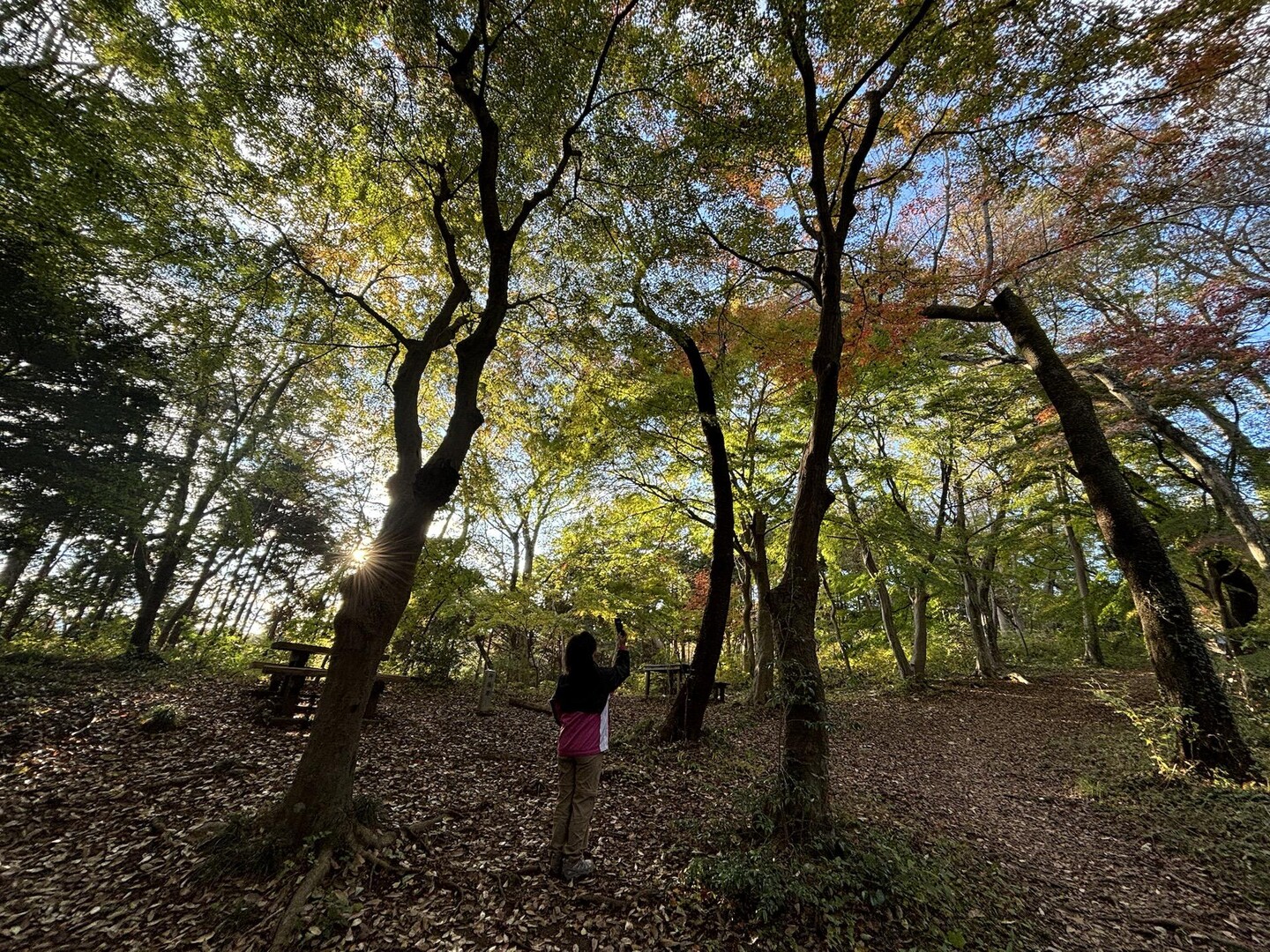 龍籠山評議原 令和六年霜月第二十四日(日... / 🗻 AZUSA ⛄️ 漆 🥾さんのモーメント | YAMAP / ヤマップ