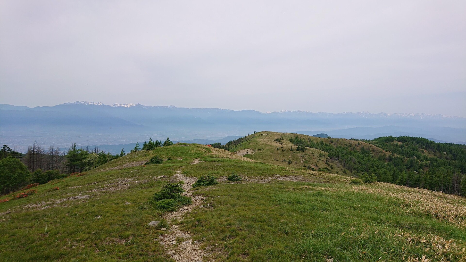 武石峰:一等三角点百名山30座目 / zumiさんの美ヶ原の活動データ | YAMAP / ヤマップ