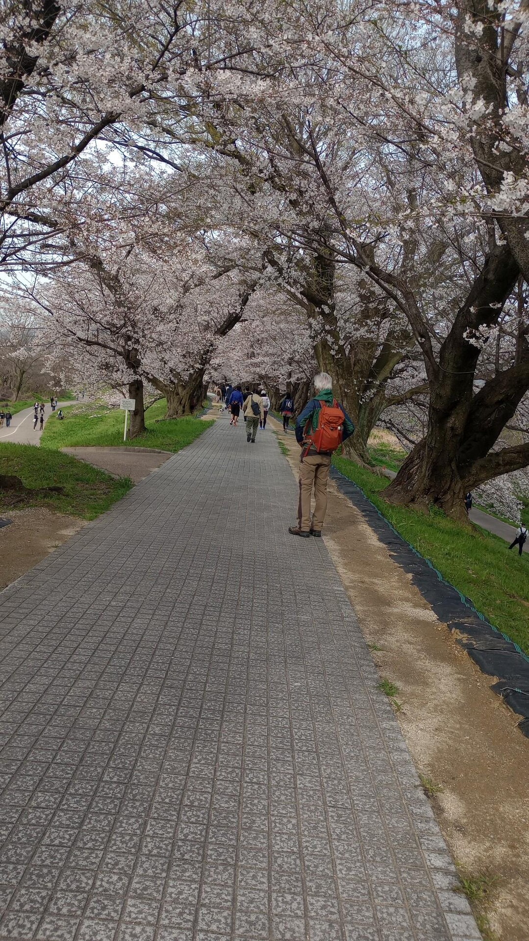 ふぁんきー.kix のページ | YAMAP / ヤマップ