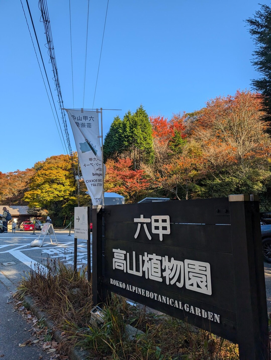 油コブシ〜六甲高山植物園 / kuwaさんの六甲山・長峰山・摩耶山の活動データ | YAMAP / ヤマップ