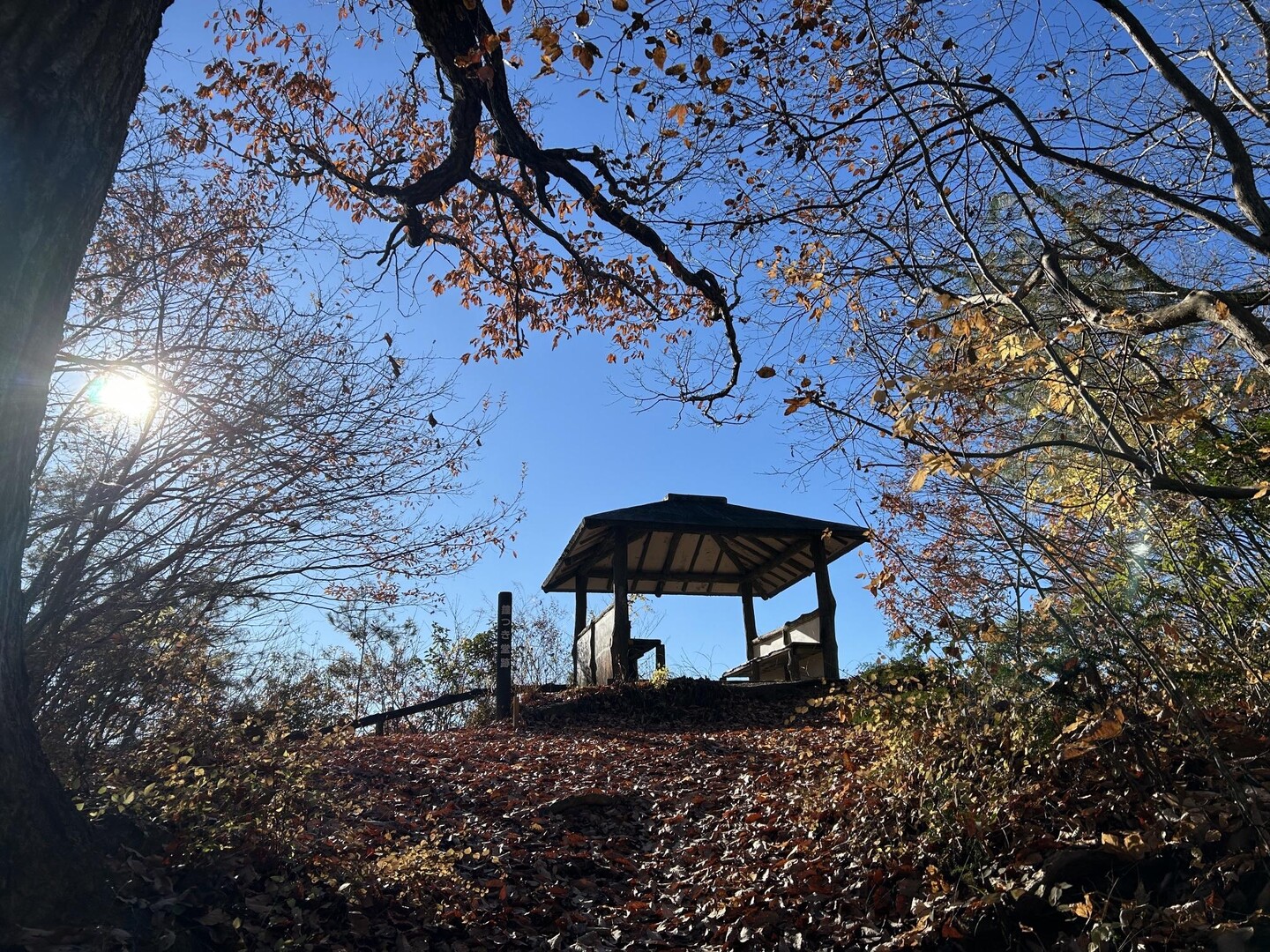 御前山ハイキング / 623🔰🔰さんの御前山の活動データ | YAMAP / ヤマップ