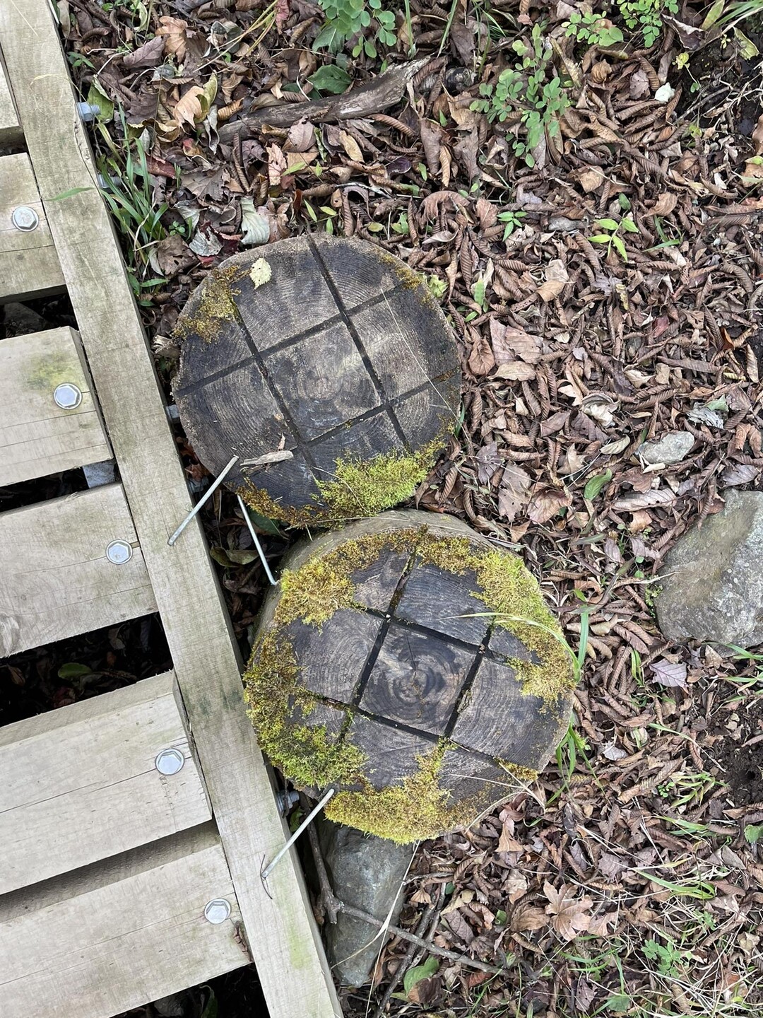 なにを思い出す？ メロンパン、エリンギソ... / shominさんのモーメント | YAMAP / ヤマップ