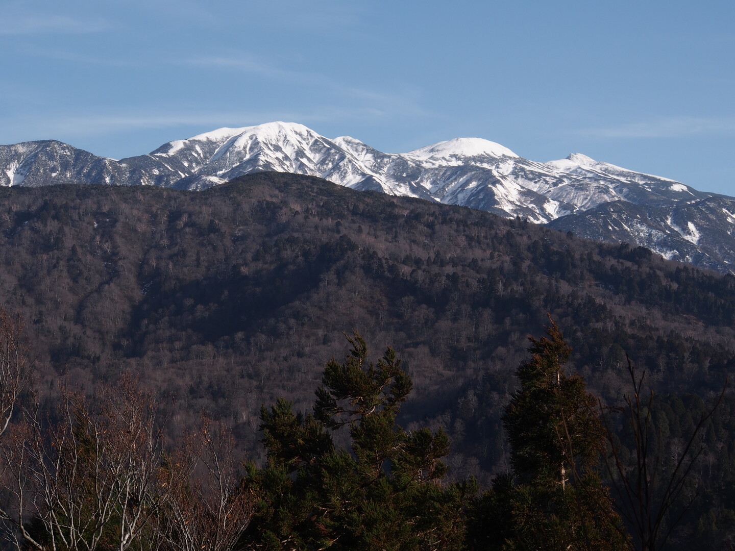 大嵐山 / we_ma2さんの鳴谷山の活動日記 | YAMAP / ヤマップ