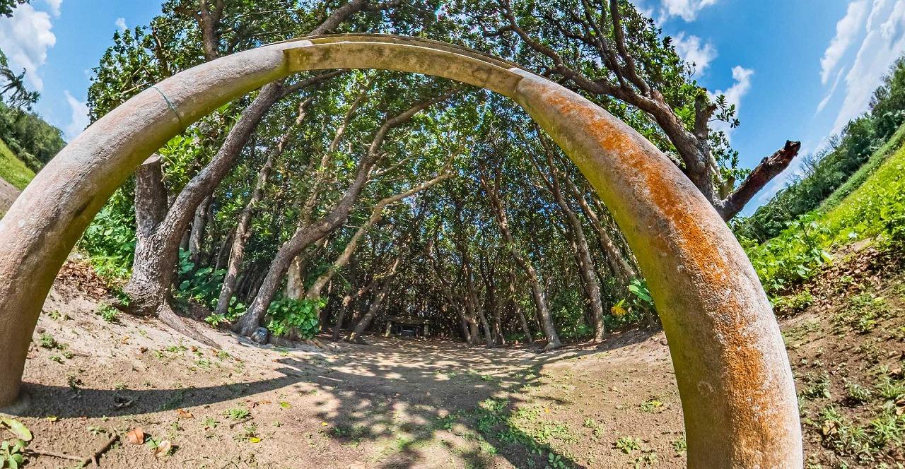 Theta360カメラ・・天球マジック ... / sin358さんのモーメント | YAMAP / ヤマップ