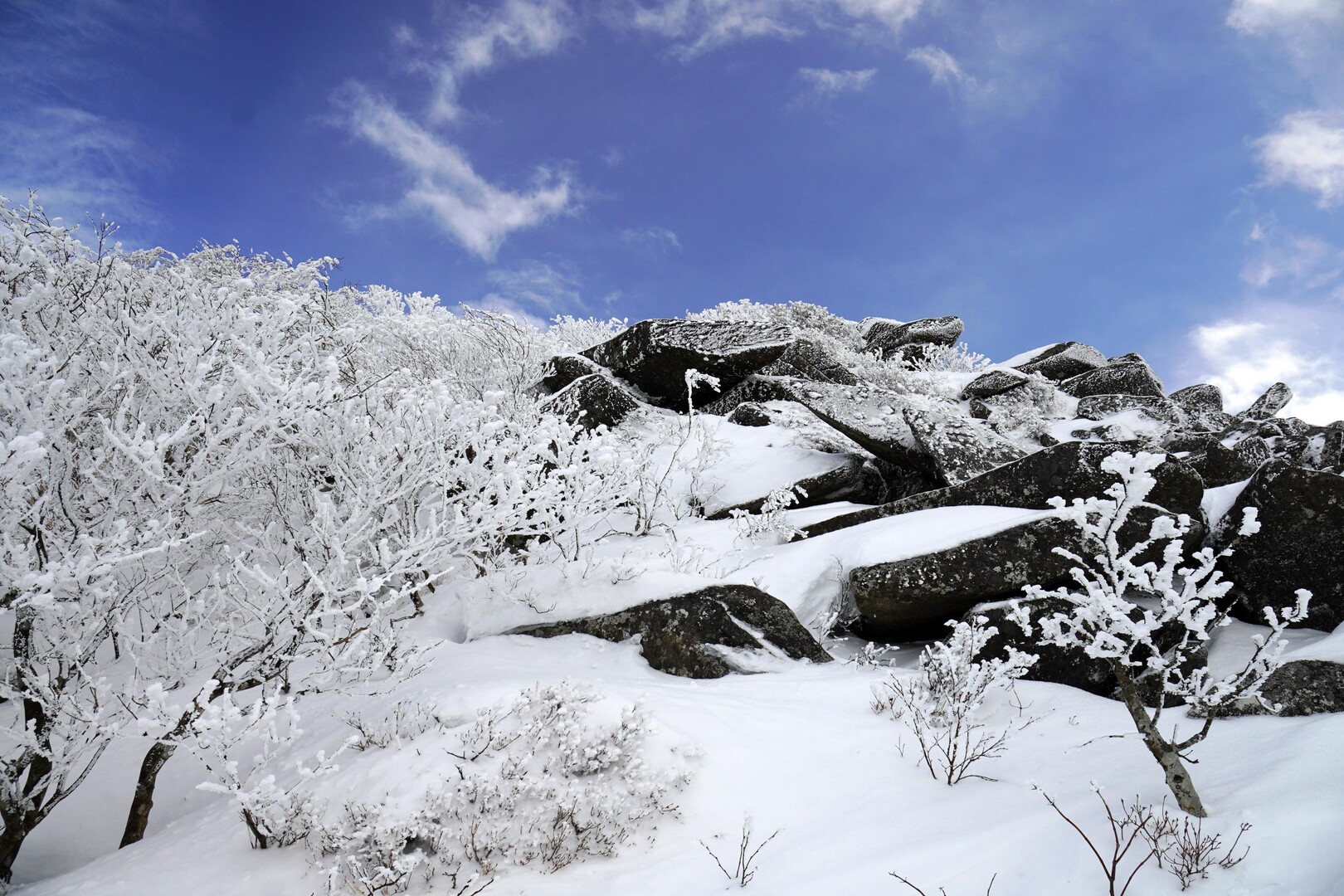 姫神山 / mirinさんの姫神山の活動データ | YAMAP / ヤマップ