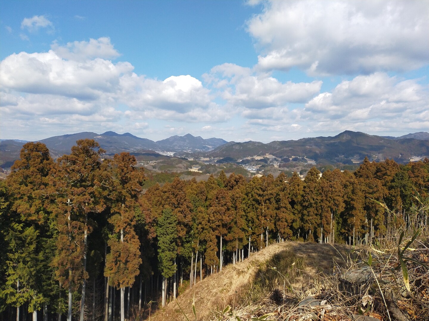 Kiyo_Ishiさんの投稿したフィールドメモ | YAMAP / ヤマップ