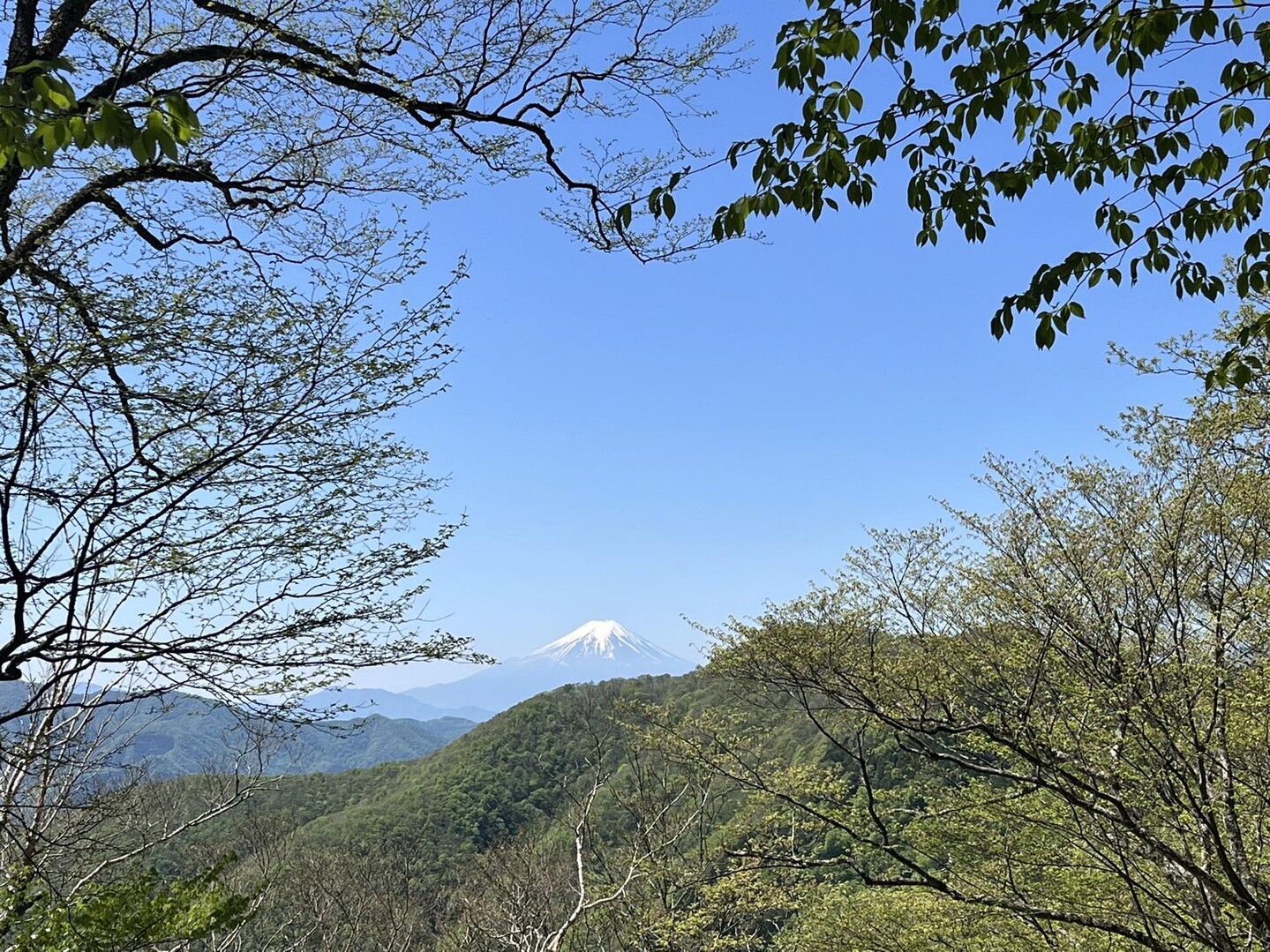 奥多摩からの富士山 / Telemacさんのモーメント | YAMAP / ヤマップ