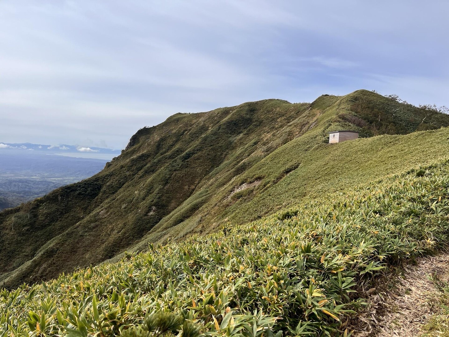 神の山ぐるり 坊主とタヌキも / minotさんの神居尻山・ピンネシリの活動データ | YAMAP / ヤマップ
