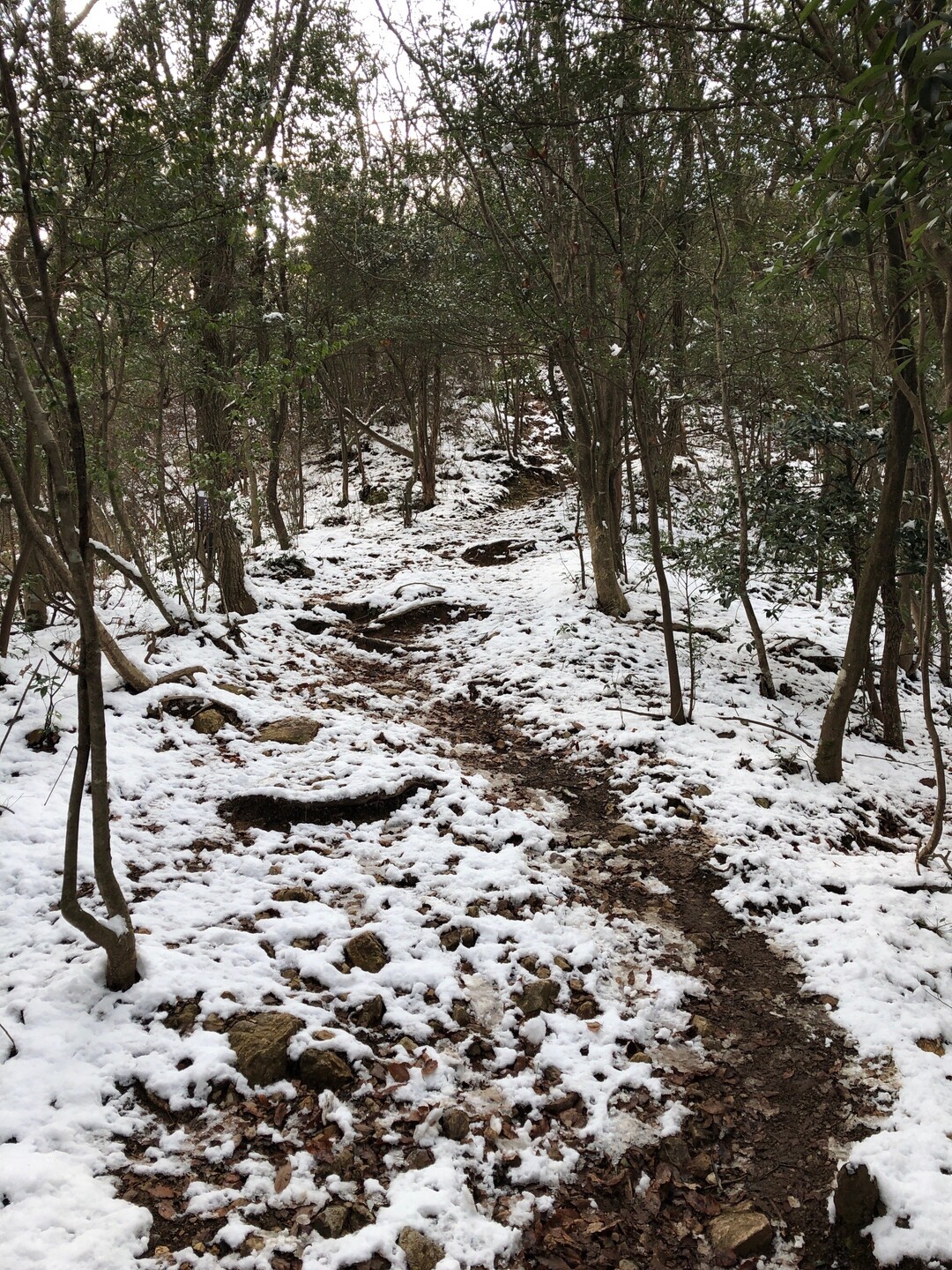 shinさんの投稿したフィールドメモ | YAMAP / ヤマップ