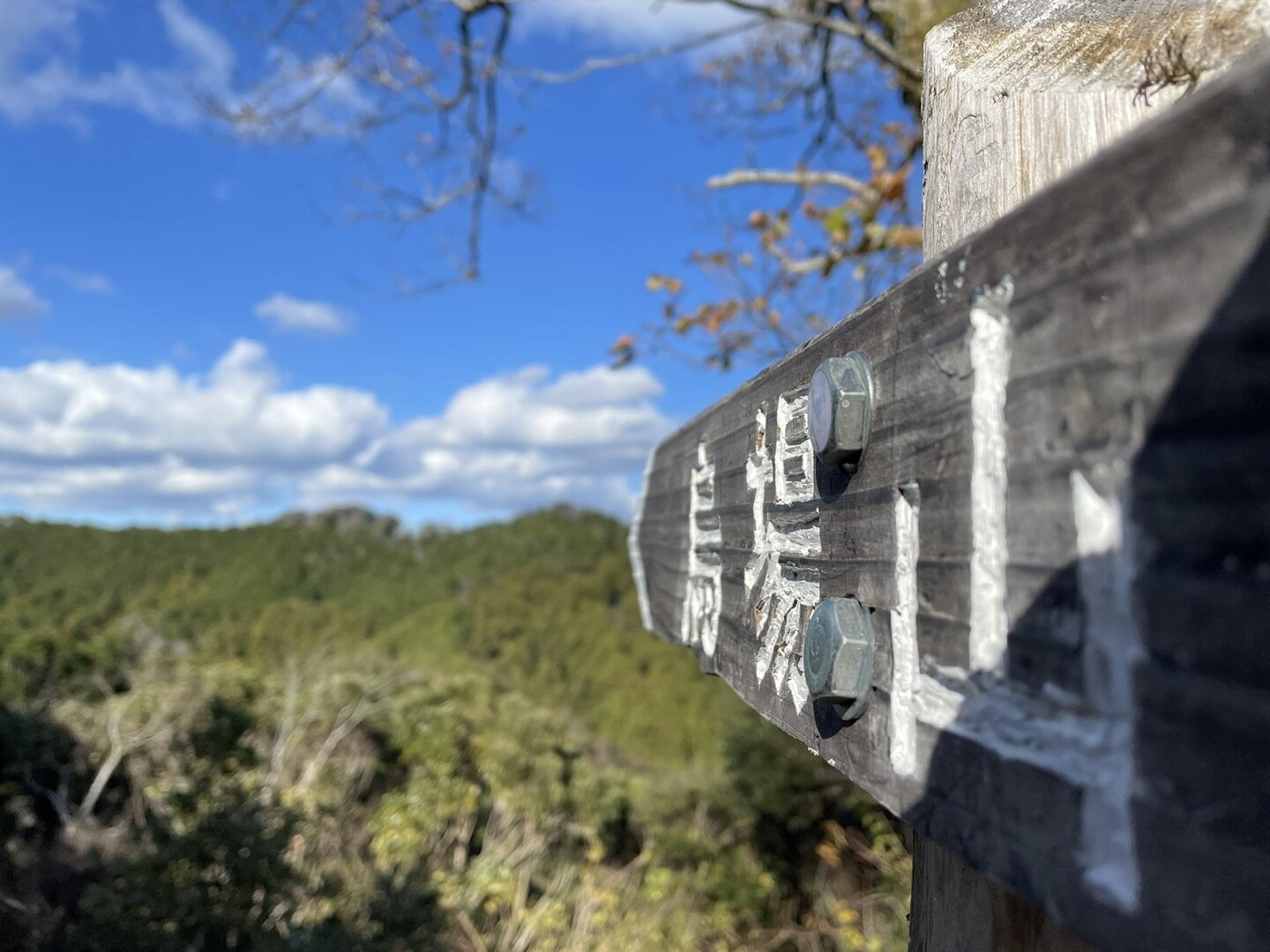 烏場山・金毘羅山 〜2023 climb up and finish〜 / One courageさんの烏場山・花嫁街道・高鶴山の活動データ | YAMAP / ヤマップ