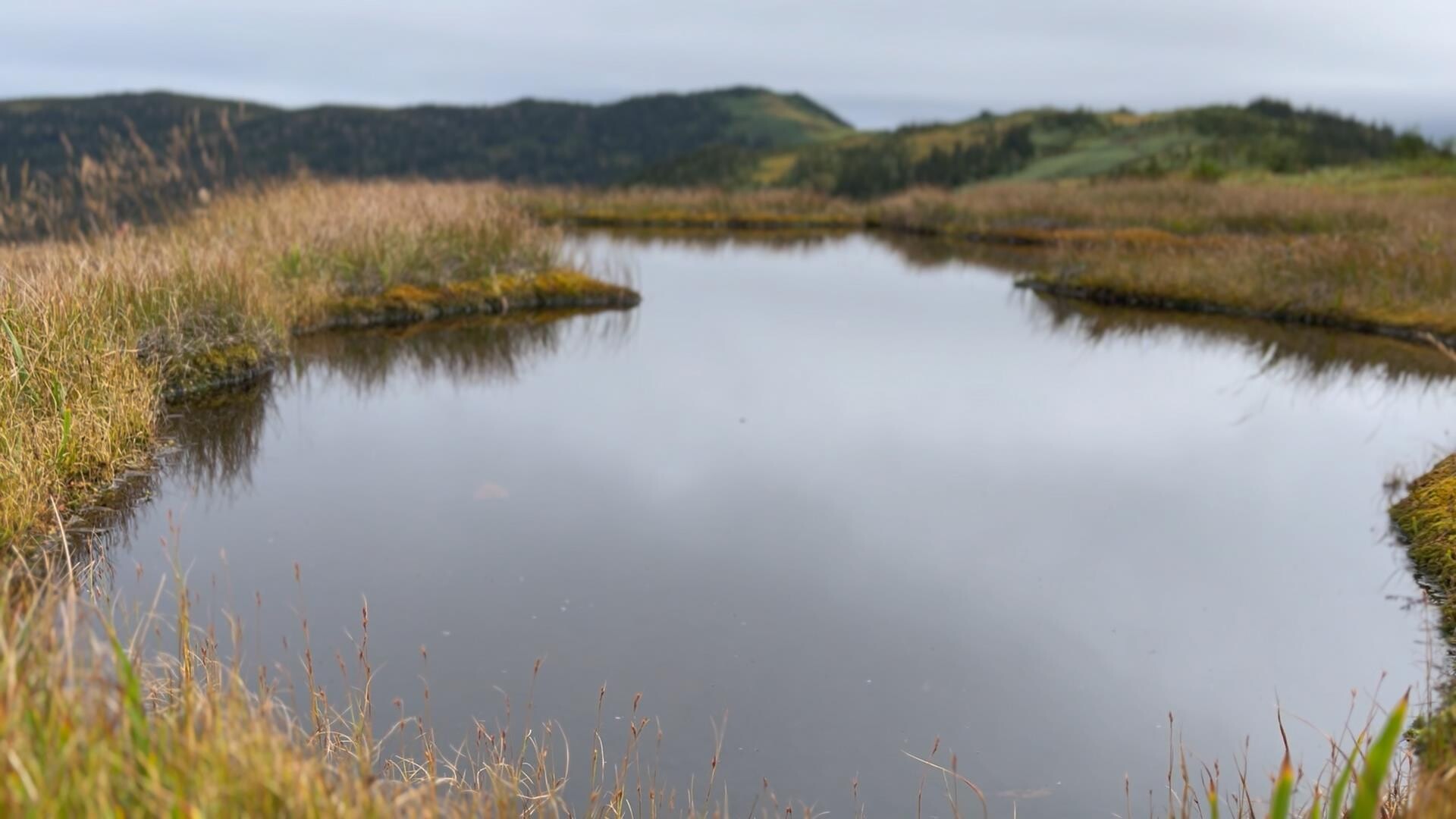 南会津・大津岐川一ノ沢～下ノ沢下降～中門沢 / sakさんの会津駒ヶ岳の活動データ | YAMAP / ヤマップ