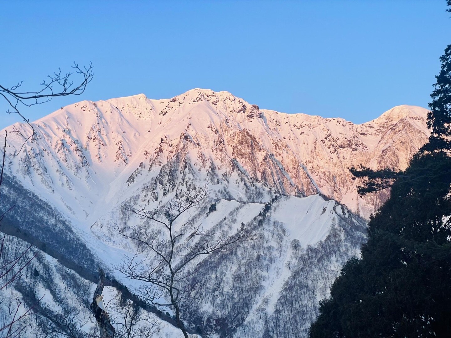 3月5日 白毛門でサヨウナラ👋 雄大... / tenpiさんのモーメント | YAMAP / ヤマップ