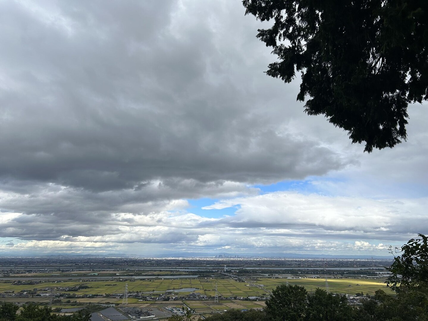 いつもの多度山へ×2 / macoさんのウォーキングの活動データ | YAMAP / ヤマップ