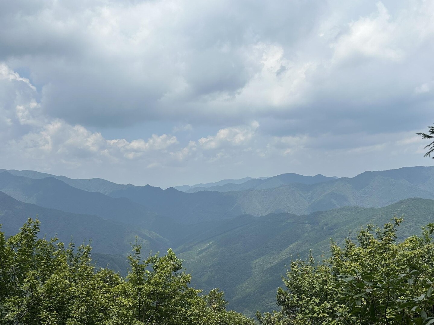 釈迦ヶ岳 / noさんの釈迦ヶ岳（釋迦ヶ岳）・矢筈岳の活動データ | YAMAP / ヤマップ