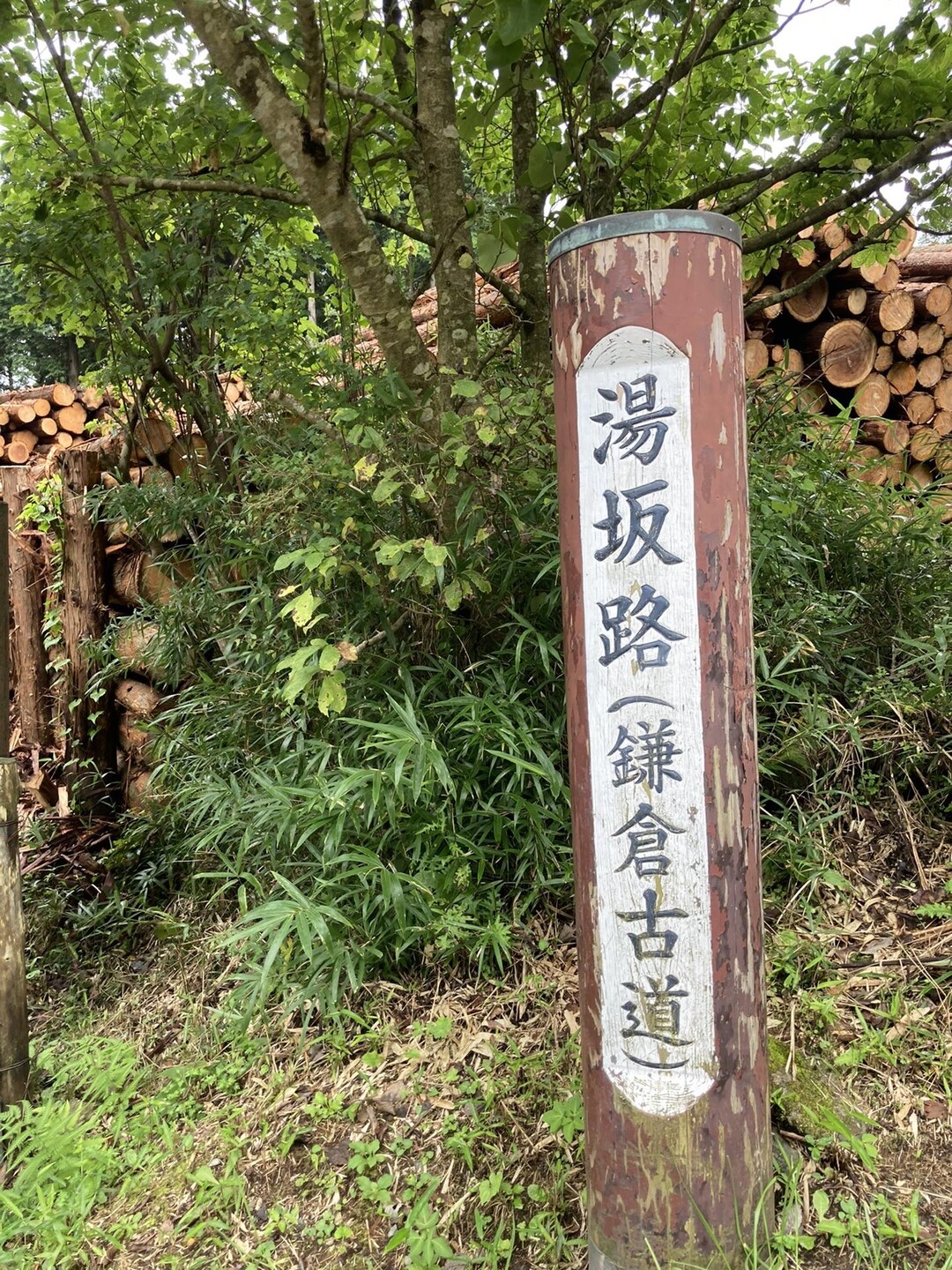 【短】箱根古道 湯坂路 / Blackswanさんの箱根山・神山の活動データ | YAMAP / ヤマップ