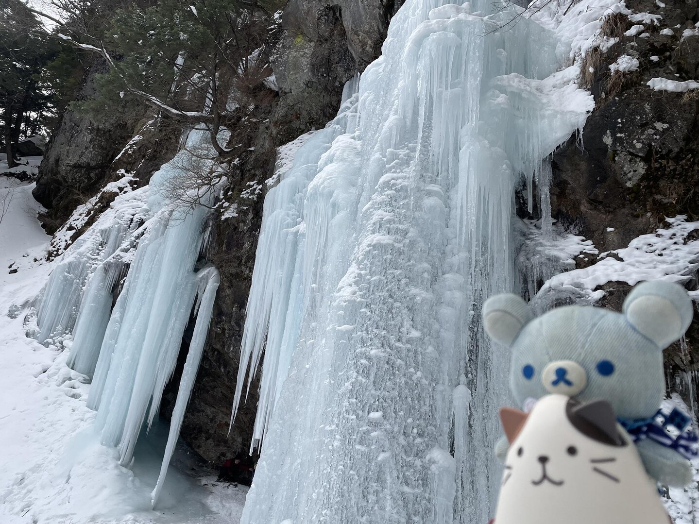 戦場ヶ原もっともーっとギスギスハイキング(ll'ω')庵滝ピストン / のりたまさんの男体山の活動データ | YAMAP / ヤマップ