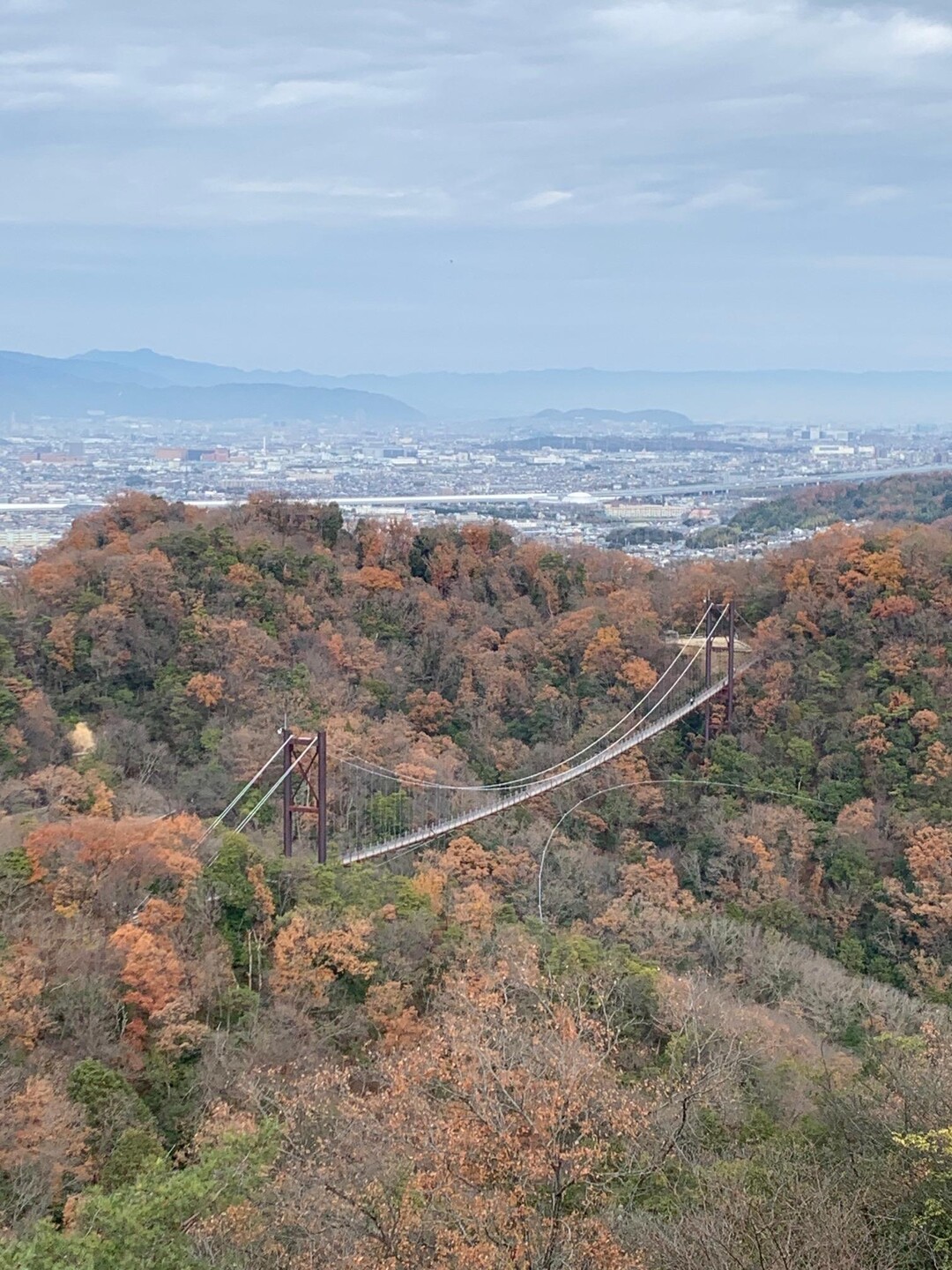 今年最後の山歩き⛰ 星のブランコと星田連山 / ORIEさんの交野山・国見山の活動データ | YAMAP / ヤマップ