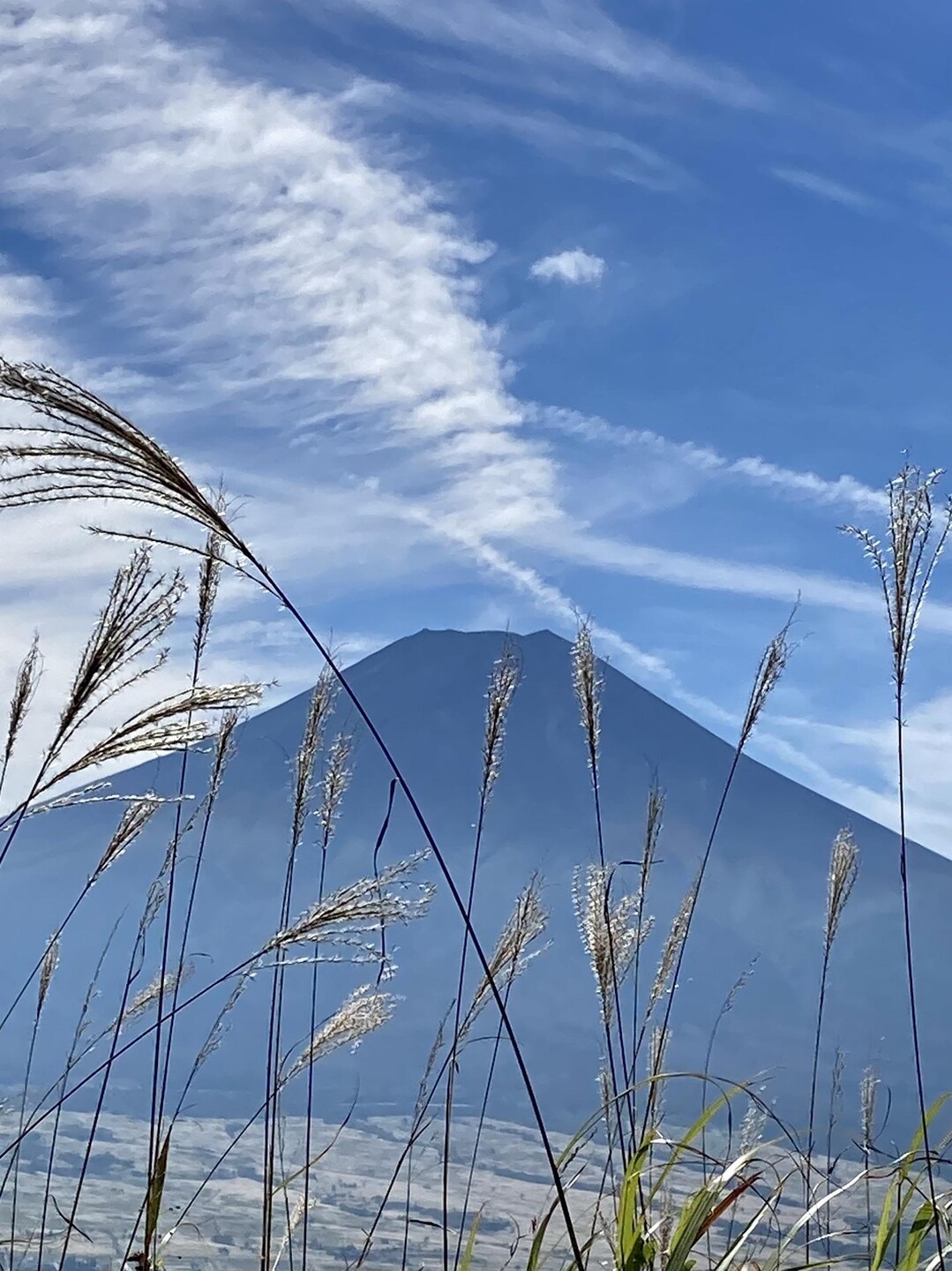 高座山 / skipさんの御正体山・杓子山・石割山の活動データ | YAMAP / ヤマップ