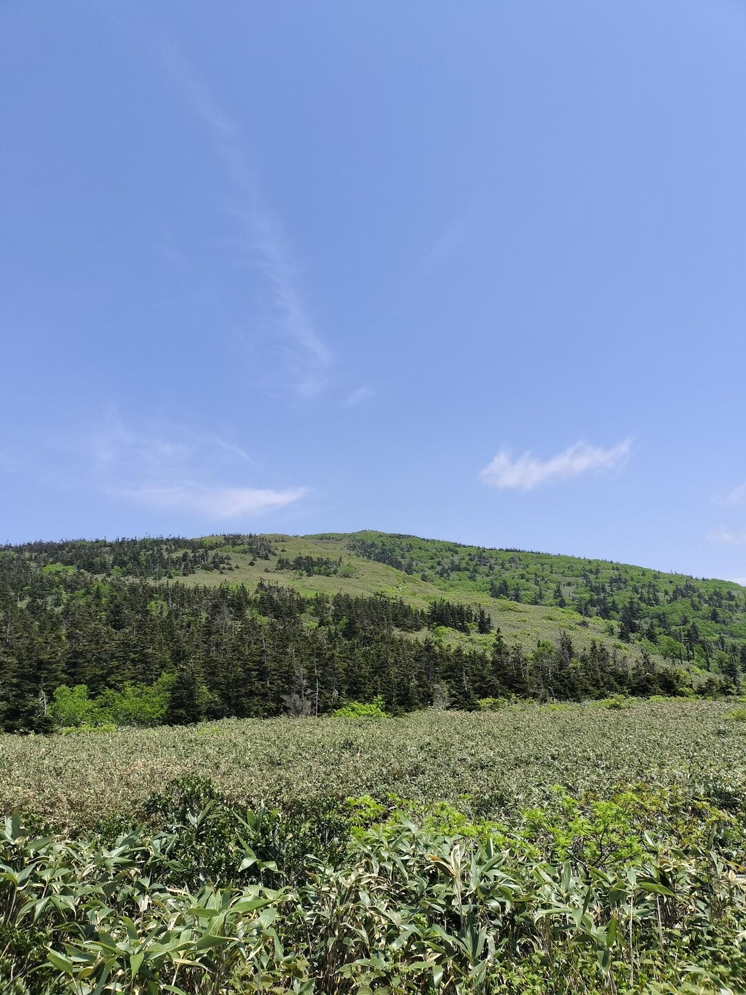 完ソロハイク森吉山 / piroさんの森吉山の活動データ | YAMAP / ヤマップ