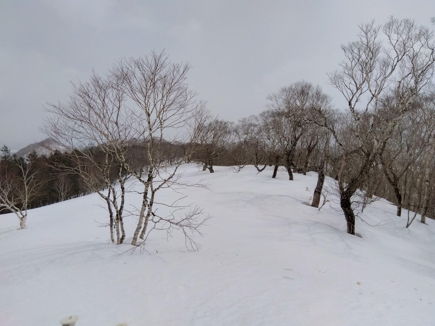 yamasanさんの投稿したフィールドメモ | YAMAP / ヤマップ