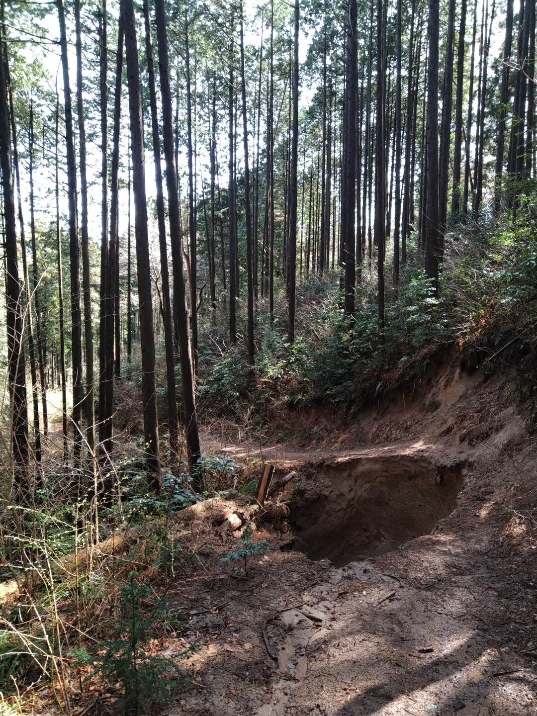 筑波山 / nobss さんの筑波山の活動日記 | YAMAP / ヤマップ