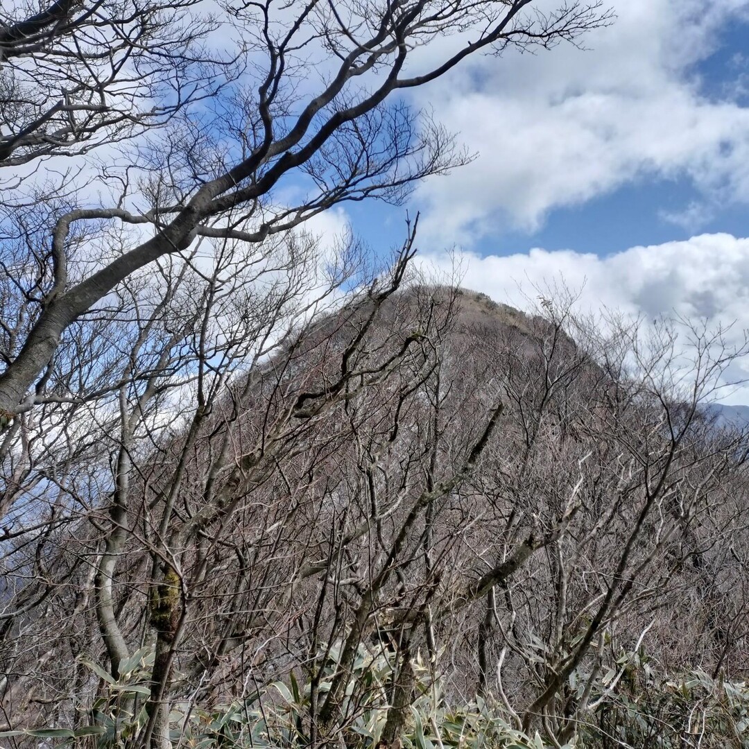 乙女峠から明星ヶ岳まで / rickさんの箱根山・神山の活動データ | YAMAP / ヤマップ