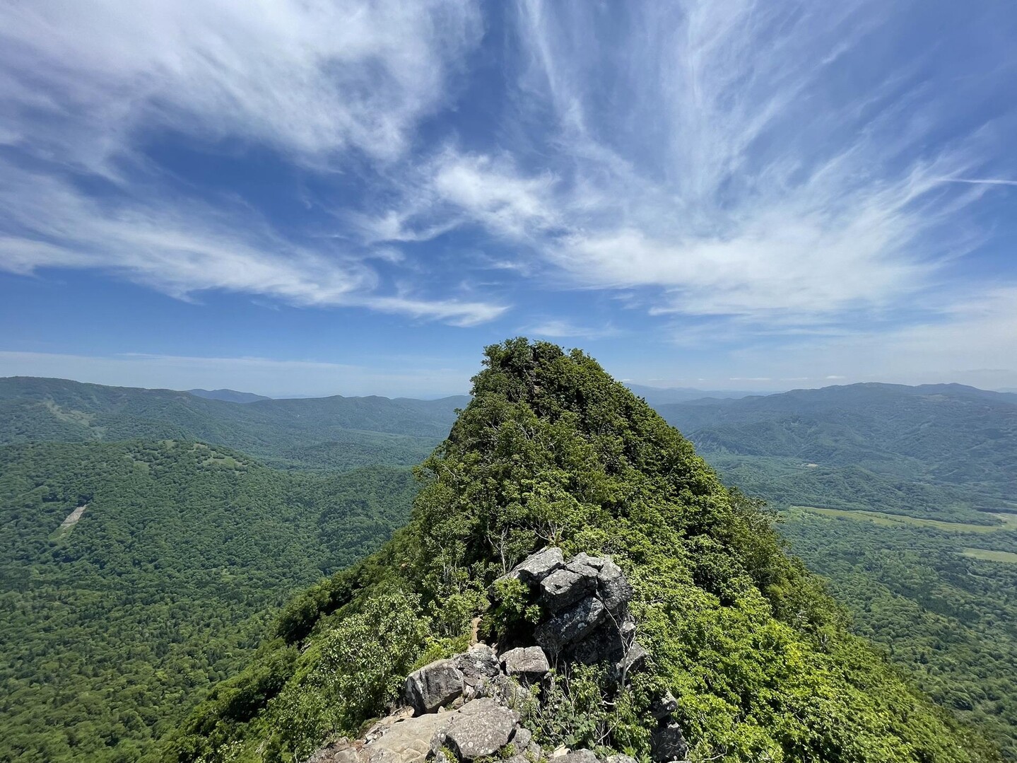 黄金山 / akorenaさんの黄金山の活動日記 | YAMAP / ヤマップ