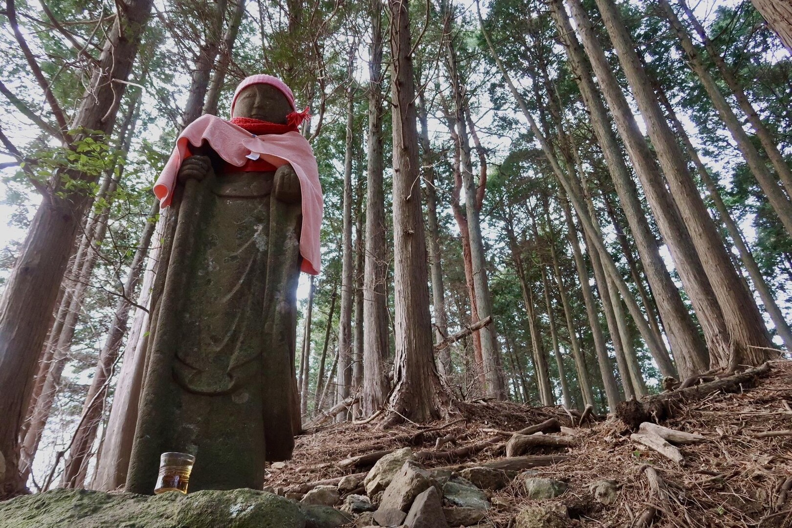 塔ノ岳チャレンジvol.3 蓑毛→大山→日向薬師 / heeさんの大山の活動データ | YAMAP / ヤマップ