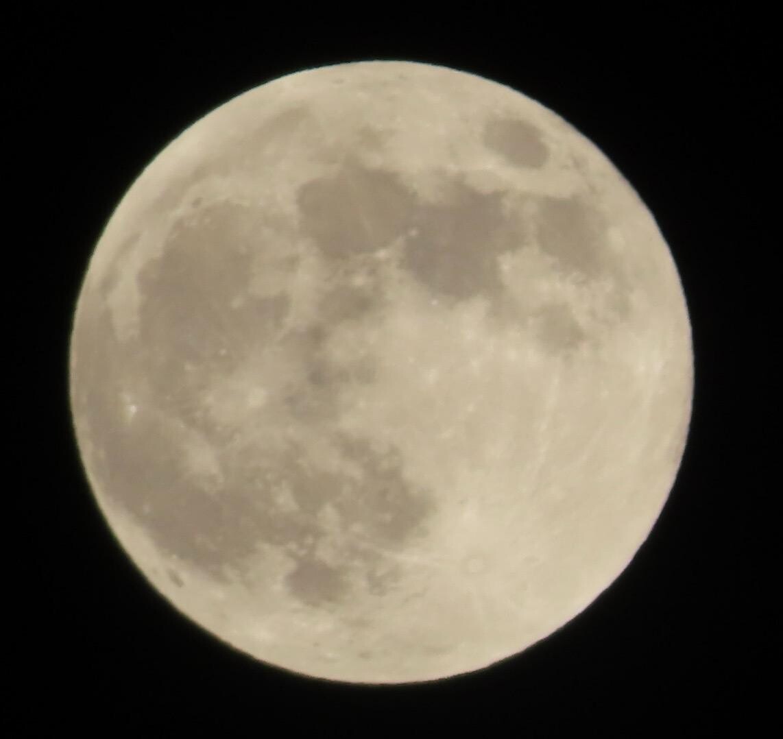 スーパームーン🌙 今夜はスーパームー... / パクチーさんのモーメント | YAMAP / ヤマップ