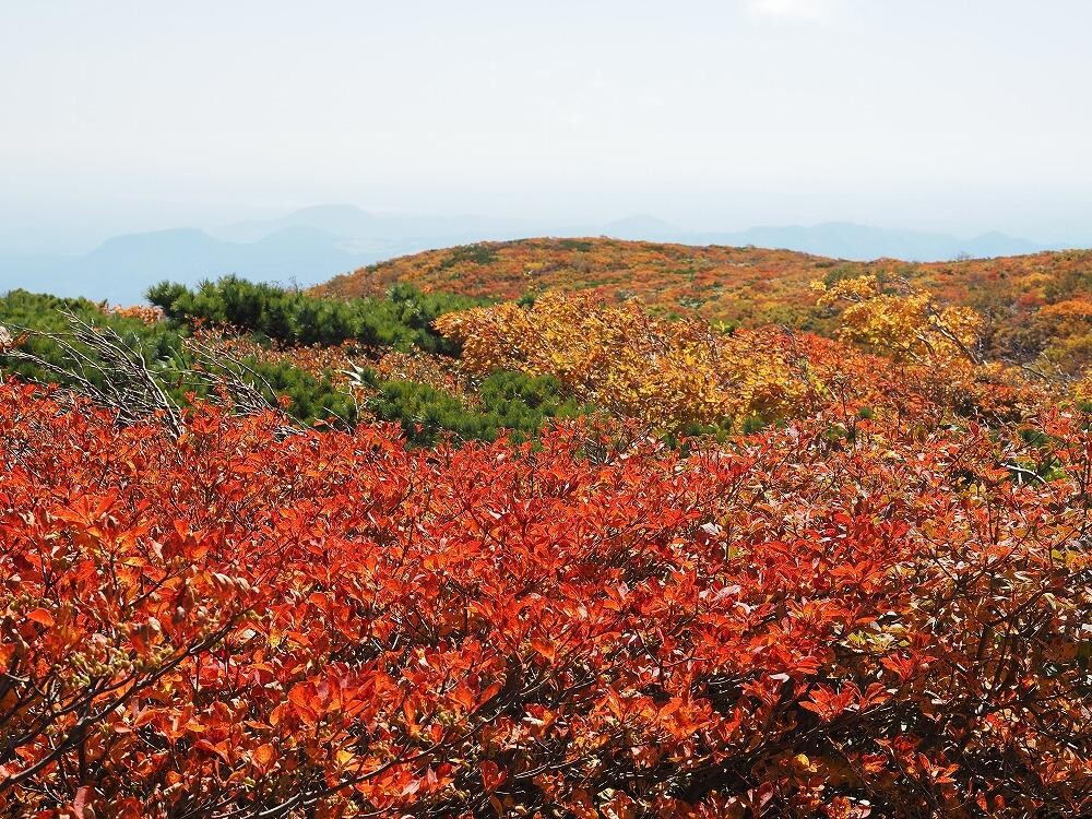 栗駒山 / Yokohama-menさんの栗駒山（須川岳）・秣岳・虚空蔵山の活動データ | YAMAP / ヤマップ