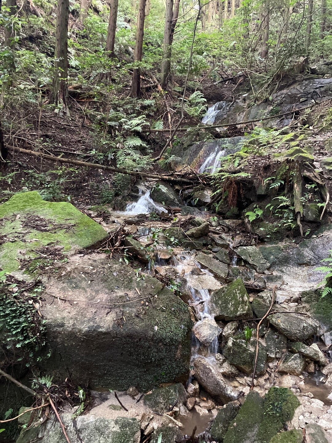 Gakkey / BANBANさんの投稿したフィールドメモ | YAMAP / ヤマップ