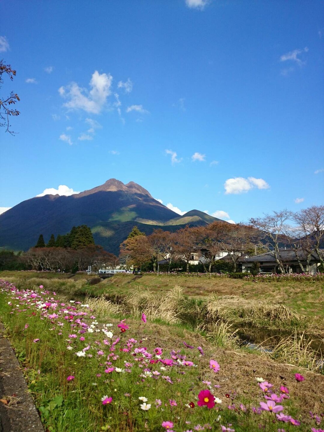 mimaのページ | YAMAP / ヤマップ