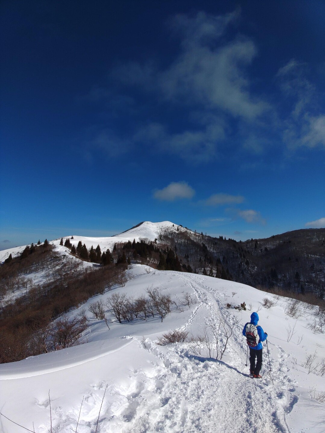 武奈ヶ岳 / FOKさんの比良山地・武奈ヶ岳・釈迦岳の活動データ | YAMAP / ヤマップ