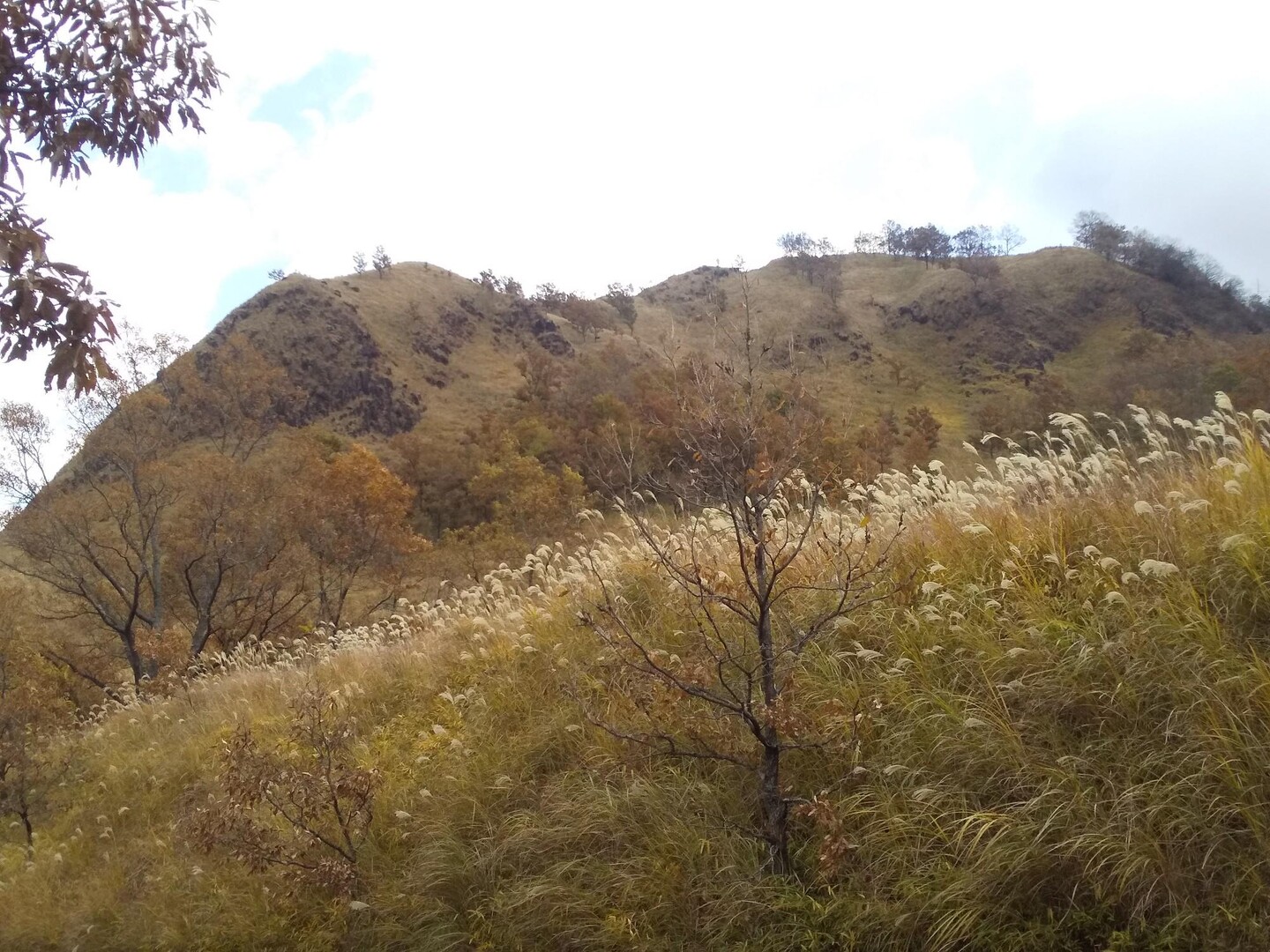 城山 / みっち3Mさんの俵山・冠ヶ岳・清栄山の活動データ | YAMAP / ヤマップ